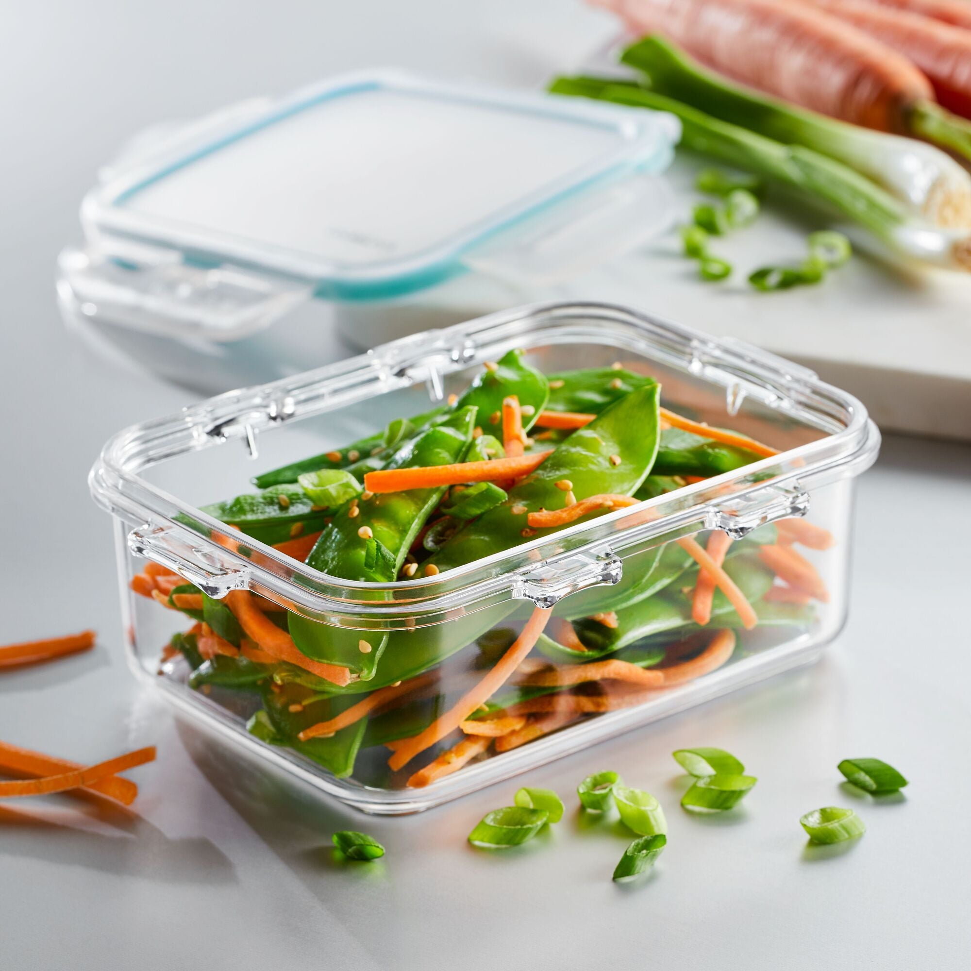 Tritan Airtight Rectangular Container – PotsandPans