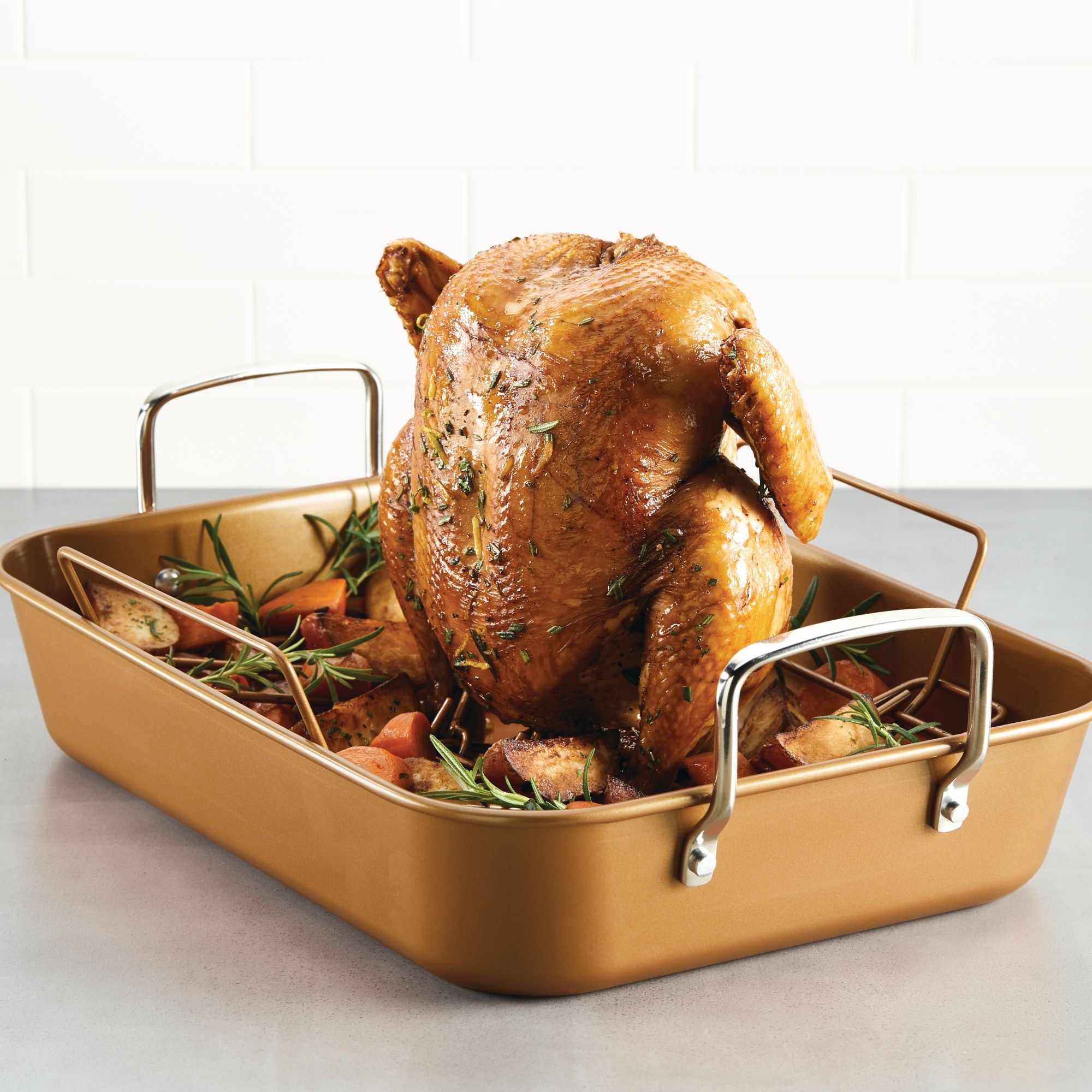 11-Inch x 15-Inch Nonstick Roaster with Rack – PotsandPans