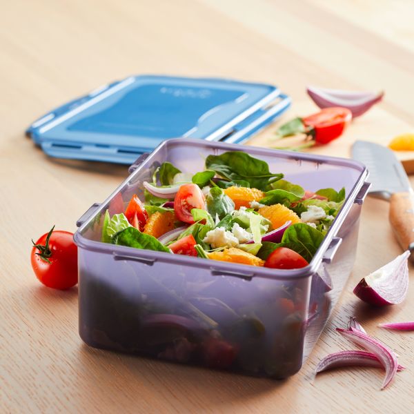 ECO Rectangular Storage Container with Lid – PotsandPans