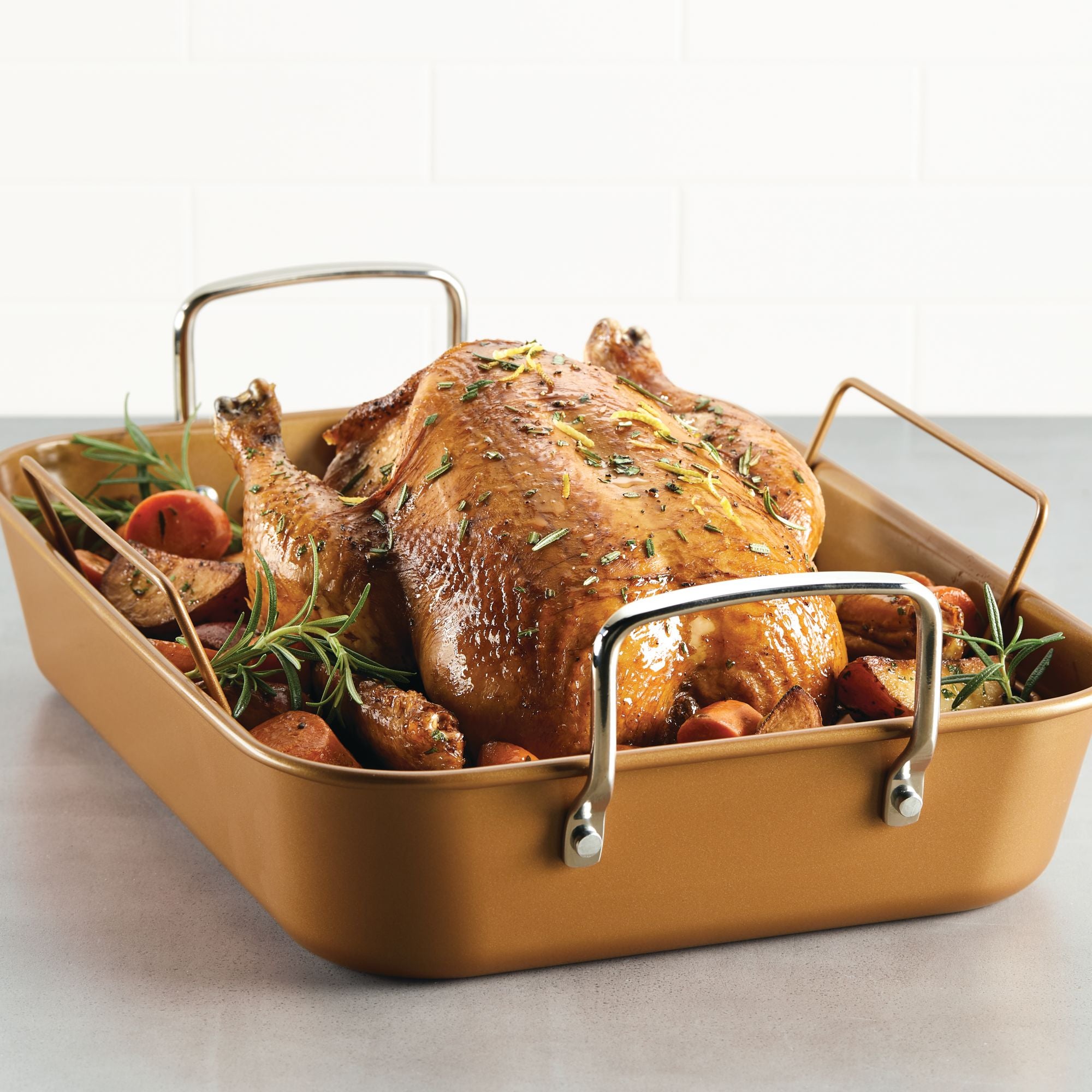 11-Inch x 15-Inch Nonstick Roaster with Rack – PotsandPans